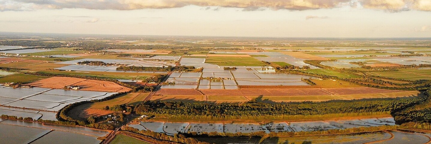 Vista aérea de uma extensa paisagem agrícola com diversos campos e corpos d'água.