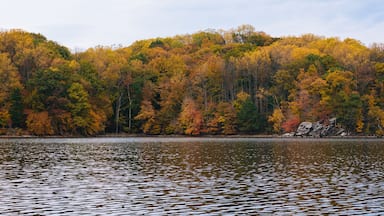 Um lago com árvores de cores outonais e margem rochosa.
