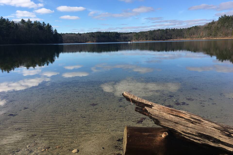 Um lago calmo com águas cristalinas, um tronco de madeira em primeiro plano e uma margem florestada ao fundo.