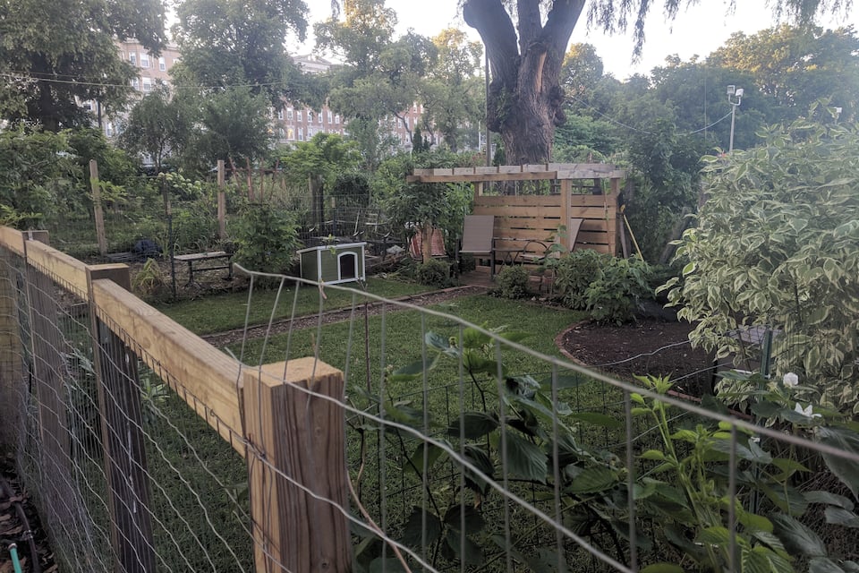 Um jardim cercado com um casebre de madeira, uma árvore grande e diversas plantas.