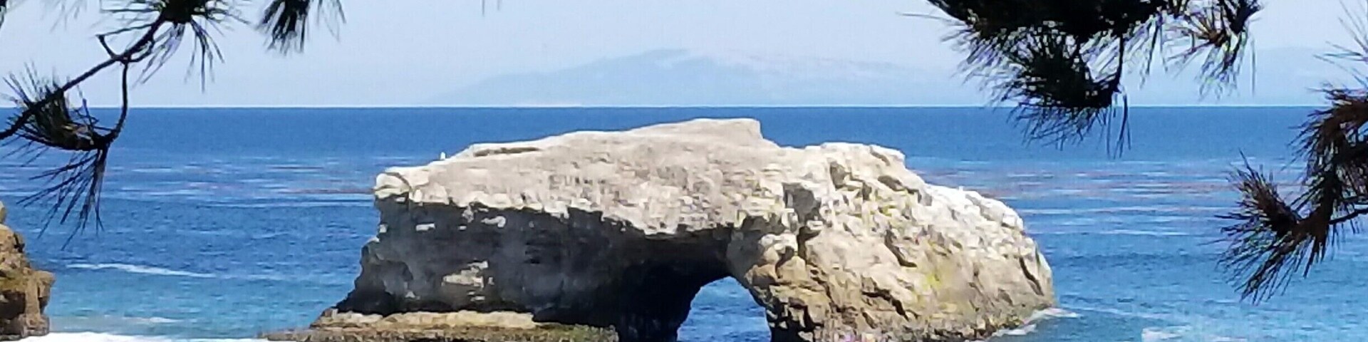 At the end of West Cliff drive and after a nice long hike you will come across this hidden gym. The natural bridges state beach is a great place to relax and enjoy nature after an invigorating hike.#TakeAHike