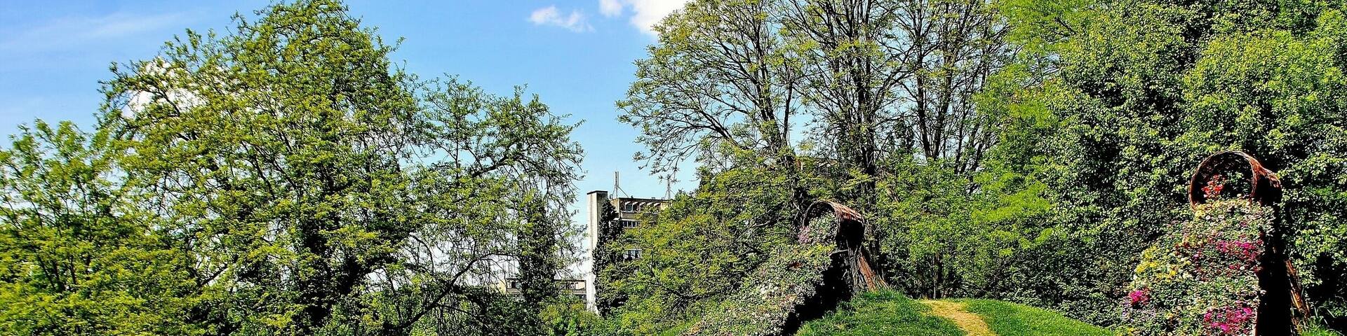 Lovely afternoon in Botanical Garden in April #flowers
#lifeAtExpedia
#GreatGardens