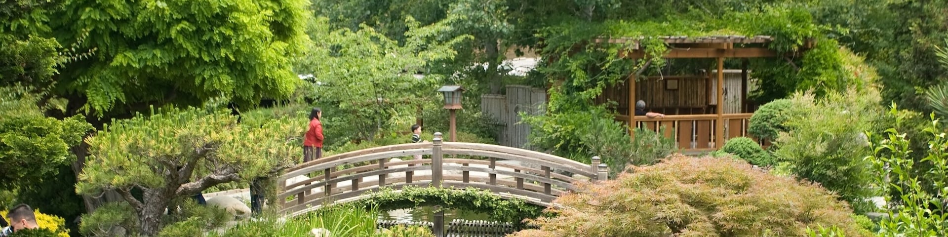 Um jardim japonês tradicional com uma ponte de madeira, lago de carpas e vegetação exuberante.