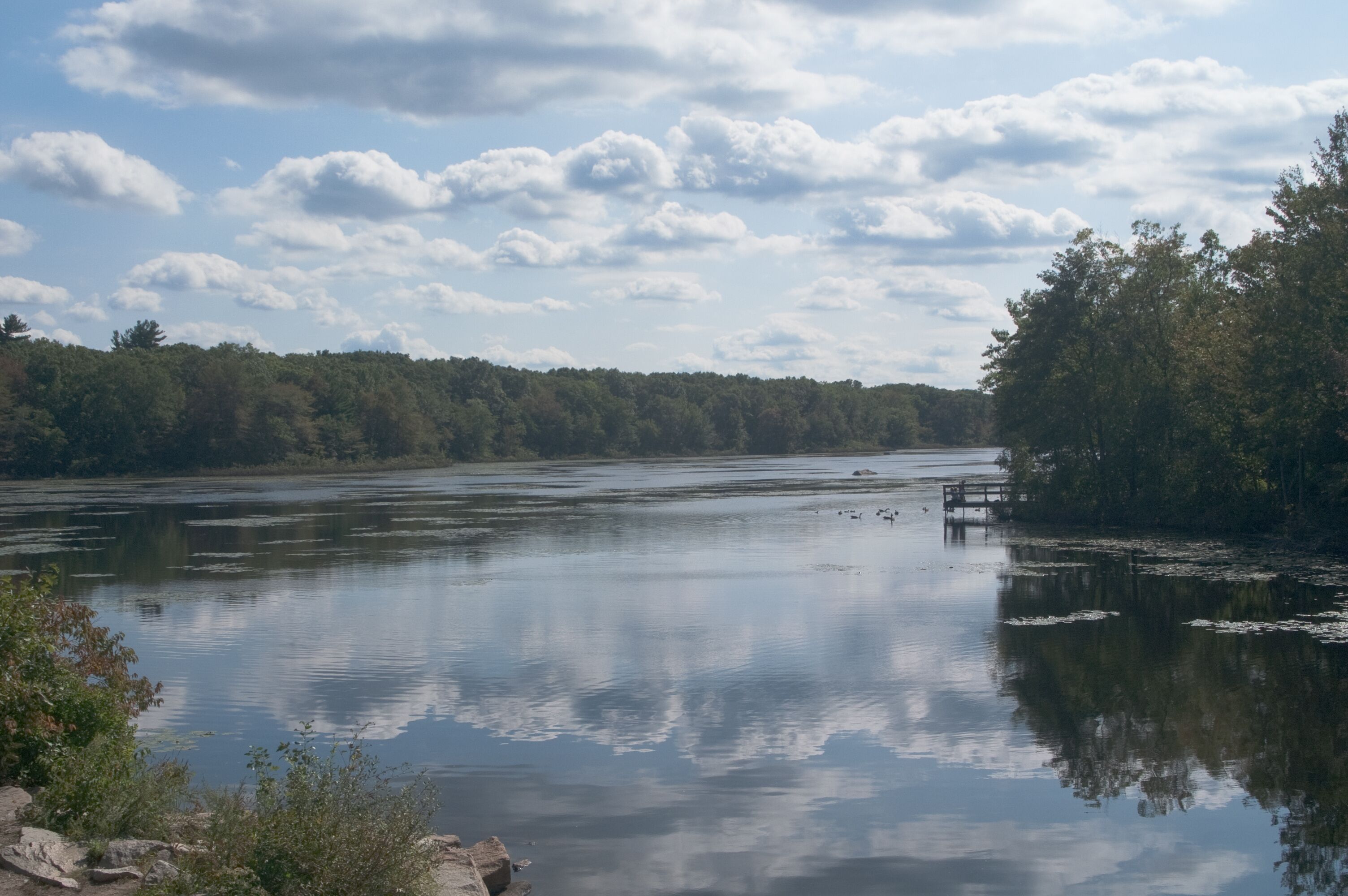 Top 10 Hotels in Braintree, MA | Hotels.com