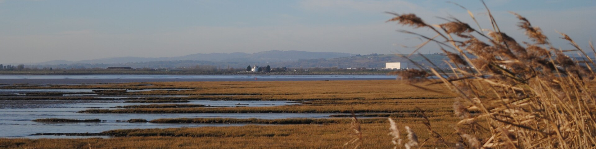 Newport Wetlands, an RSPB reserve in Newport, South Wales.
