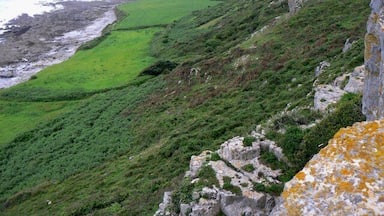 Paisagem costeira com campos verdes, falésias rochosas e vista para o mar.