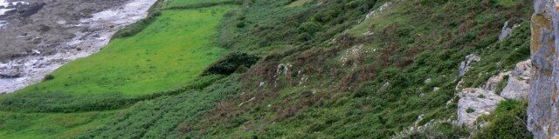 Paisagem costeira com campos verdes, falésias rochosas e vista para o mar.