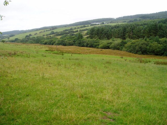 Um campo gramado com colinas ondulantes e florestas densas ao fundo.