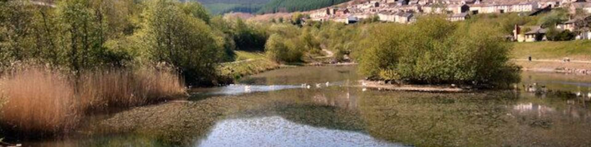 Old Colliery Site Reclamation Scheme Site of the old Gorki Colliery.