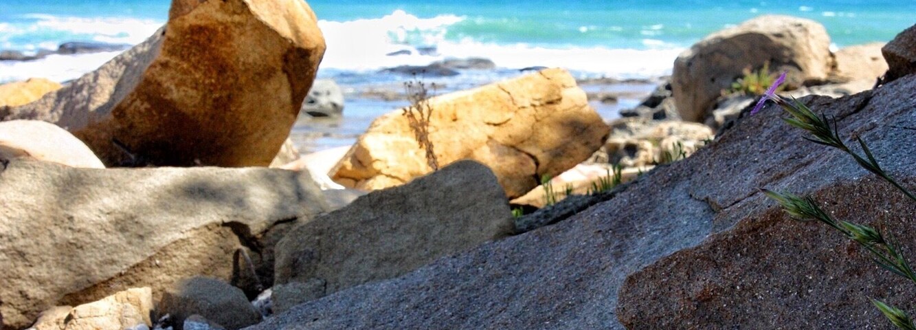 Uma costa rochosa com grandes pedras e flores cor-de-rosa ao primeiro plano.