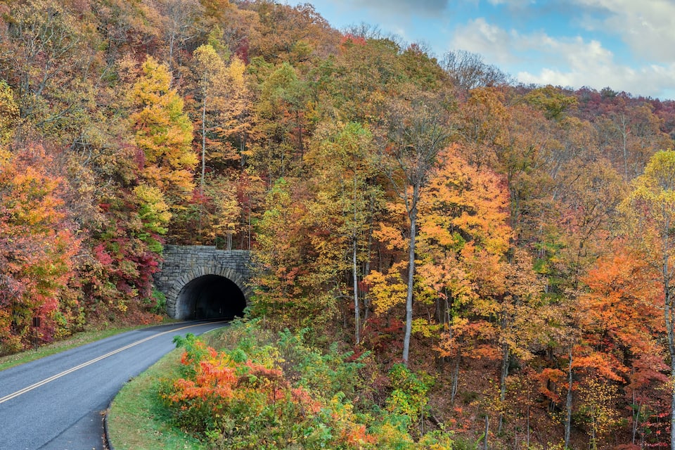 Uma estrada atravessa uma floresta com um túnel de pedra.