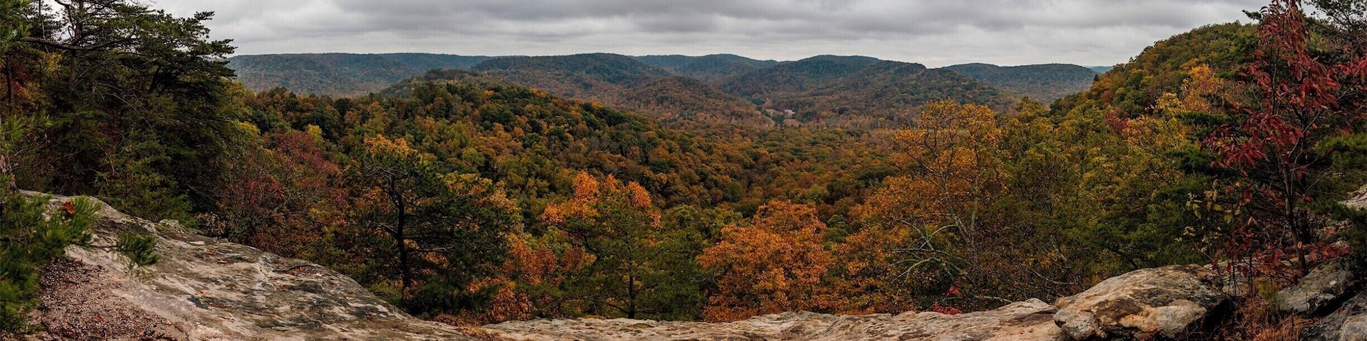 So we may have gotten lost on the tail system. It is very confusing. At one point I passed 3 signs that said Indian Fort Lookout was .1 mile ahead (I never turned off the path I was on). After getting lost I came across this overlook; Very happy I got lost. And, you know, you're never lost in the woods, you are just exploring a new path.
