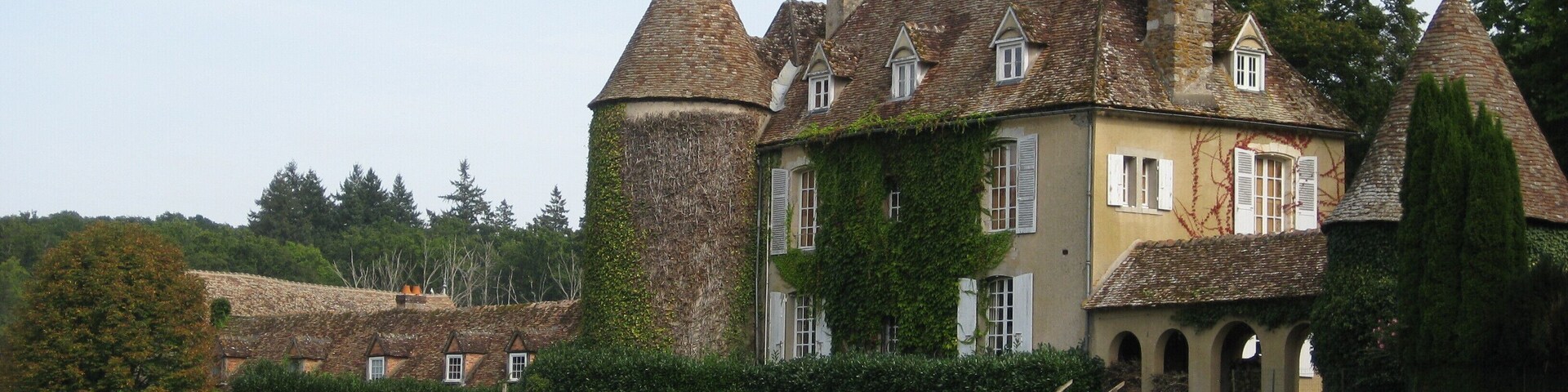 Old prieuré, now castle of Boutissaint, near Treigny in Puisaye, south of Yonne departement, Bourgogne, France. Built in the 16th century, it is now famous for its ~1,000 acre animal park spreading over ~1,000 acres, created in 1968. The park includes European bisons along with mouflons, deers, fallow deers, boars and many other local animals, in a forest typical of Puisaye: wild, with lots of streams and ponds and full of fascinating secret places. This side of the castle looks towards the north-west. In the nature park of the old priory, now castle of Boutissaint, near Treigny in Puisaye, south of Yonne departement, Bourgogne, France: the "Saint-Langueur fountain", a spring on the south side of the castle, about 130 m away from the castle's main building. Old prieuré, now castle of Boutissaint, near Treigny in Puisaye, south of Yonne departement, Bourgogne, France: Boar wandering on the slope that used to border the north side of the "étang des Moines" (the "Monks' pond") before a tree fell on the levy that held the pond's water, breaking said levy and bringing the pond to totally dry up in a few short months. The owner and park manageress Mrs Valérie Galabert, daughter of the parc creator Mr Pierre-Elie Borione, has endeavoured to raise the cash needed to restore the pond, which is a needed watering point for the animals in the park.