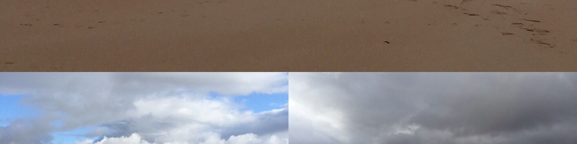 Uma praia com dois cães, céu nublado e montanhas ao longe.