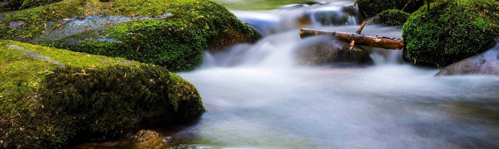 This is the river in The Black Forest in Baden Baden Germany.
#nature
#nature photo contest
