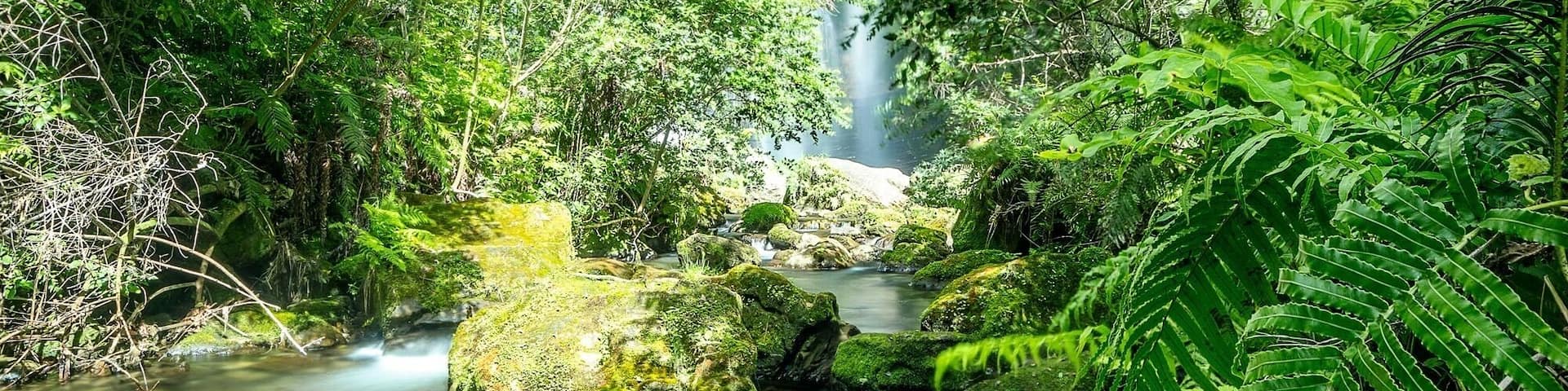 Shine Falls is a very impressive waterfall one hours drive from Napier. Follow the signs down a gravel road for 6km then hike the 30-40 minutes mostly uphill to the falls. Well worth the effort and is a beautiful scene.