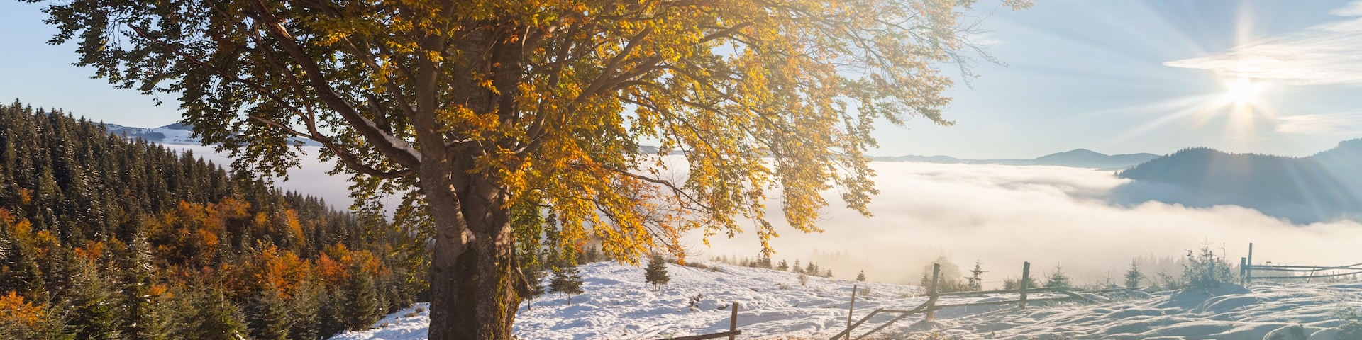 Paisagem coberta de neve com uma grande árvore, uma cerca de madeira e uma cordilheira ao fundo.
