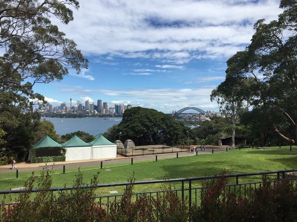 Um parque com tendas verdes, área gramada e um horizonte urbano com uma ponte ao fundo.