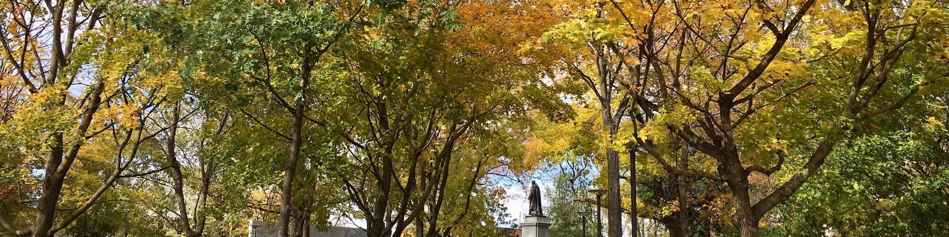 Full colourful season!!!