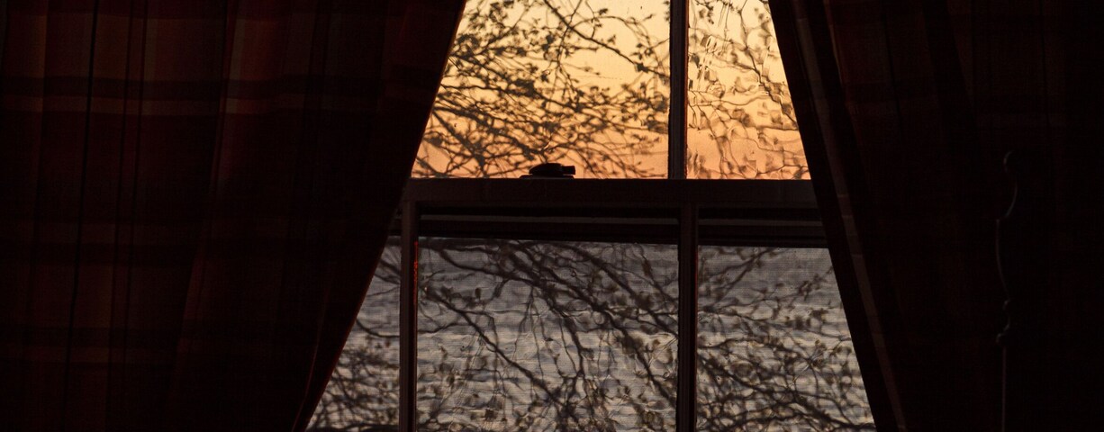 Janela com vista para árvores e um pôr do sol.