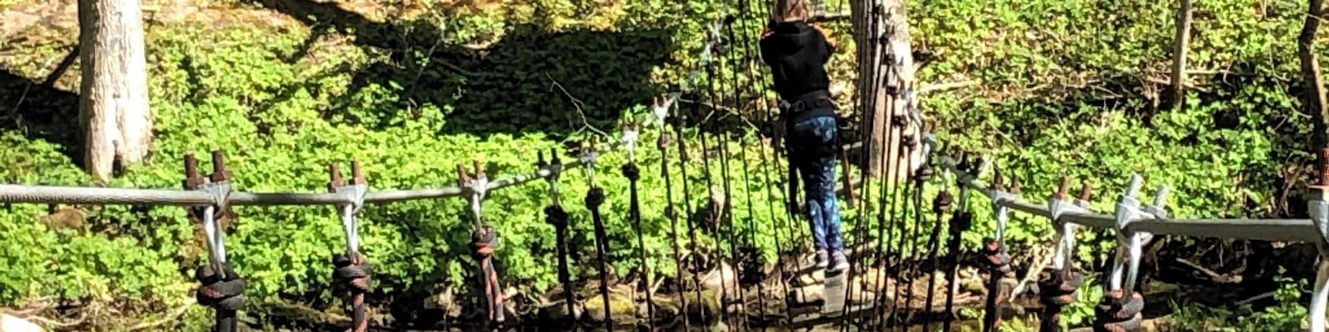 Lontova, climbing from tree to tree.