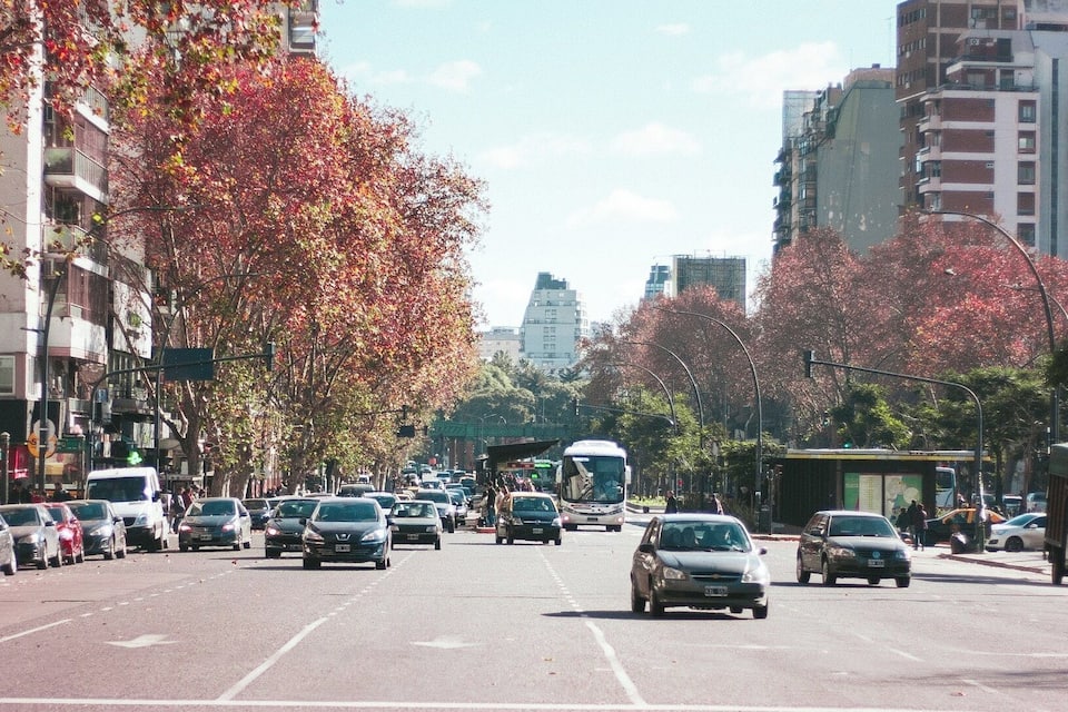Uma rua urbana movimentada com árvores de outono, uma faixa de pedestres e edifícios altos.