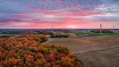 Paisagem com folhagem de outono, turbinas eocanas e um pôr do sol.