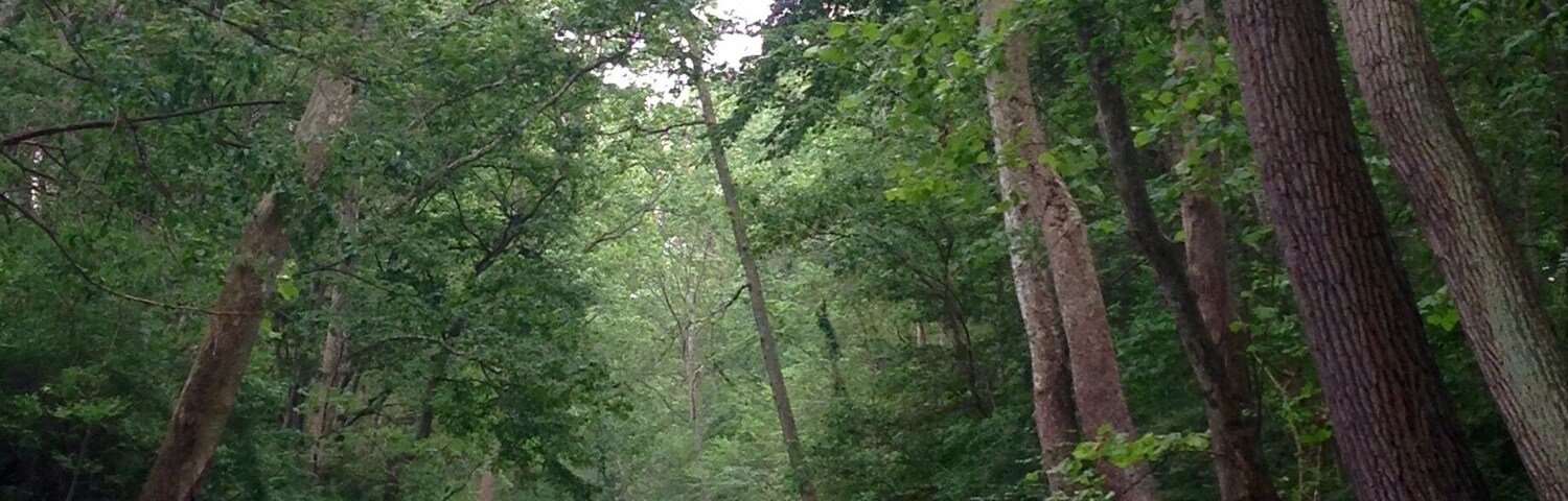 Beautiful, secluded place for canoeing or kayaking!