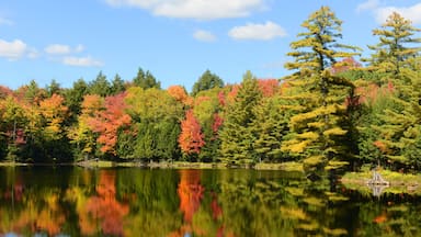 Um lago tranquilo refletindo árvores outonais coloridas e um céu azul límpido.