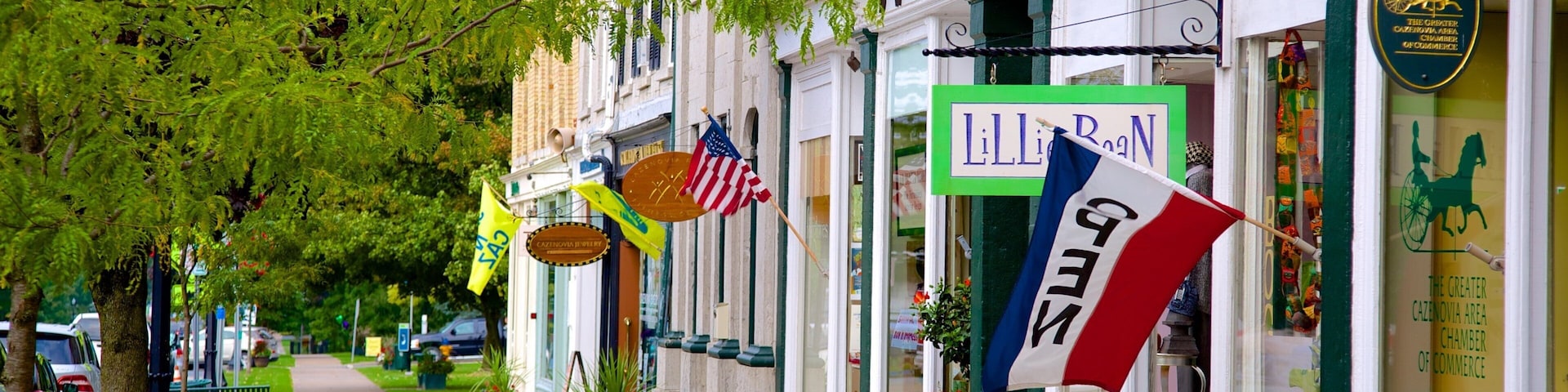 Cazenovia which includes city views