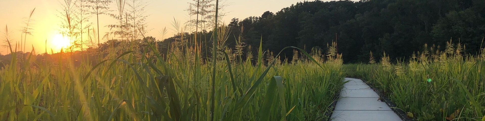 Floating Sidewalk trail
