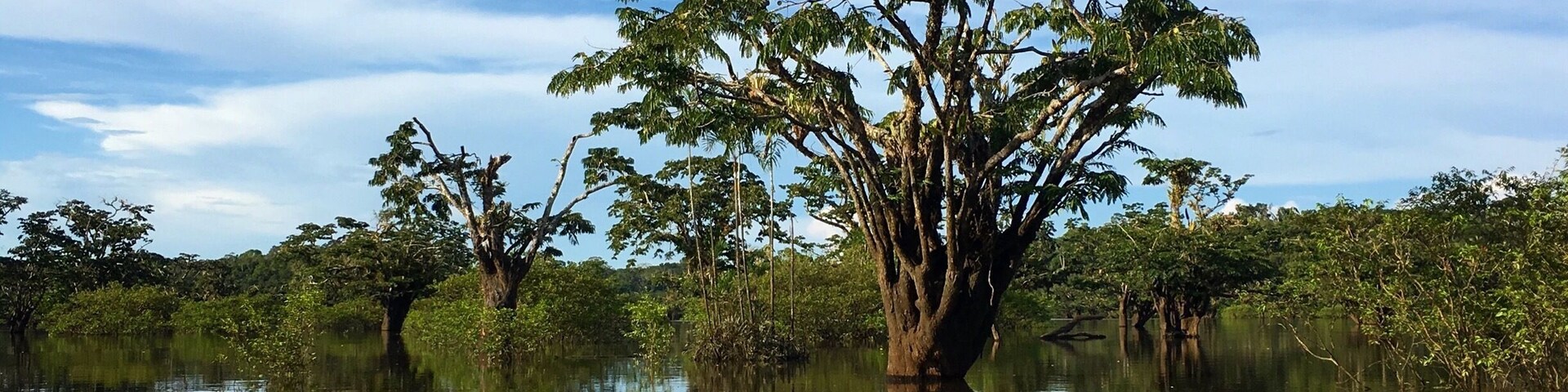 Cuyabeno, Amazonía, Ecuador