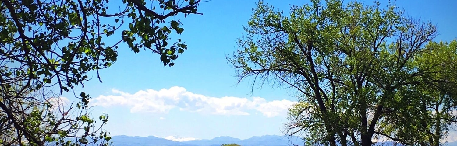 Um rio calmo com árvores nas margens, céu azul e montanhas ao longe.