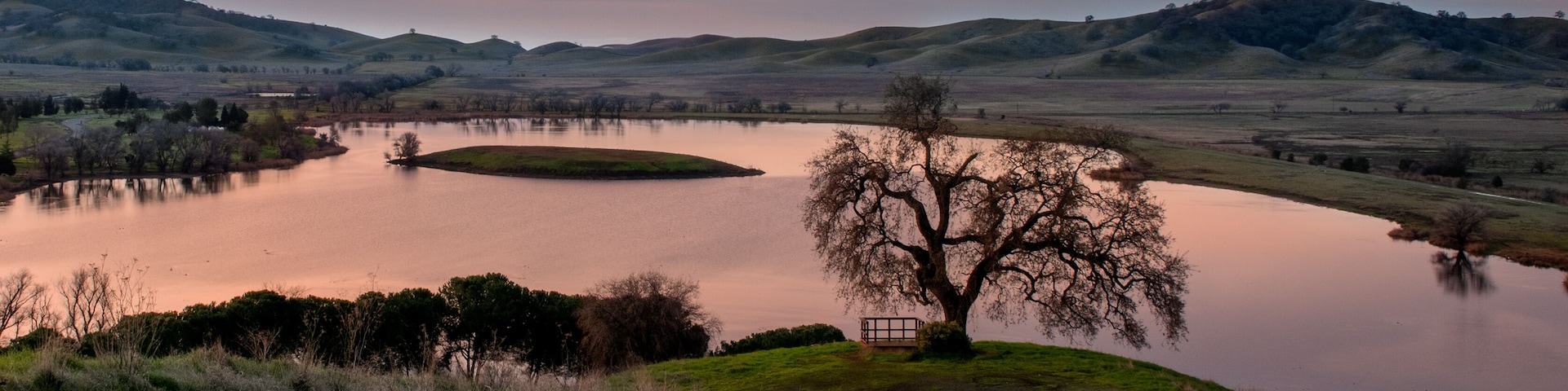 Uma paisagem serena com um lago, uma árvore imponente, colinas ondulantes e um céu limpo.