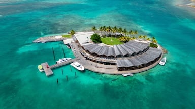 Uma ilha tropical com um edifício circular, palmeiras e águas turquesa cristalinas.