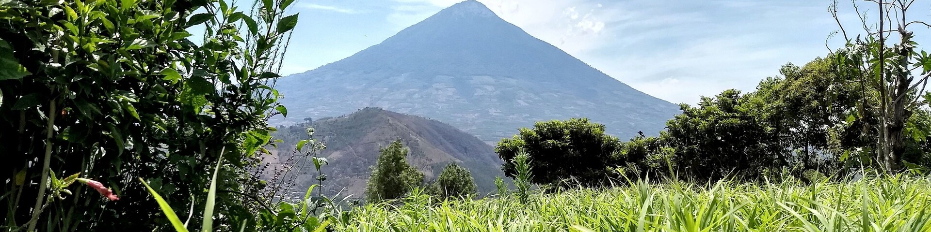 Um campo verdejante com uma montanha ao fundo.