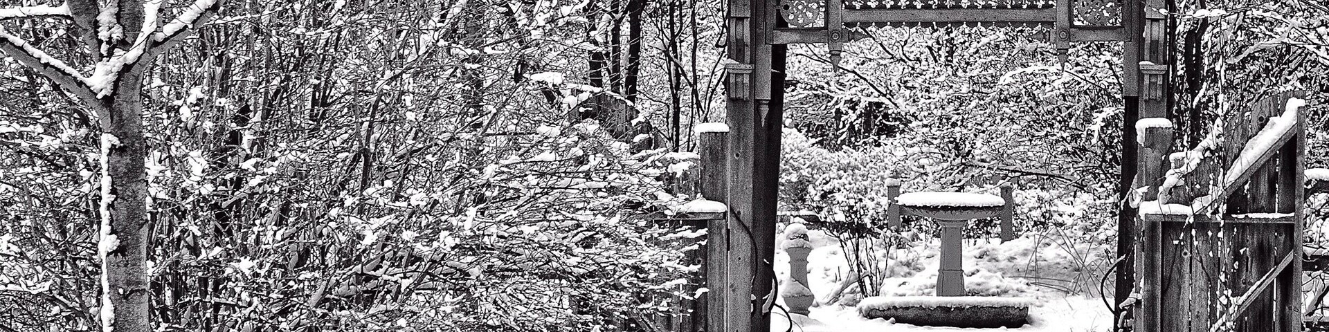 One of best Gardens in the area. Great anytime of the year.