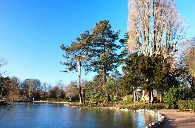 Um lago tranquilo rodeado de árvores e um céu azul límpido.