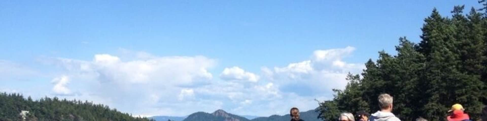 The ferry from Anacortes to Orcas is way more fun when you are a walk during the very hectic summer months. It has been made even better now that the Washington State Ferries will allow dogs up on the weather deck. Lots of opportunities for good sniffs, Basset adoration and dropped popcorn scavenging. This view is from the fantail on a sailing that took us on an alternative routing they practice for rough weather crossings.
