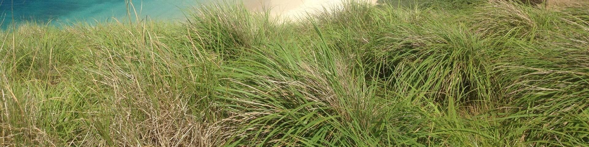 At viewing point where everything can be described as breathtaking