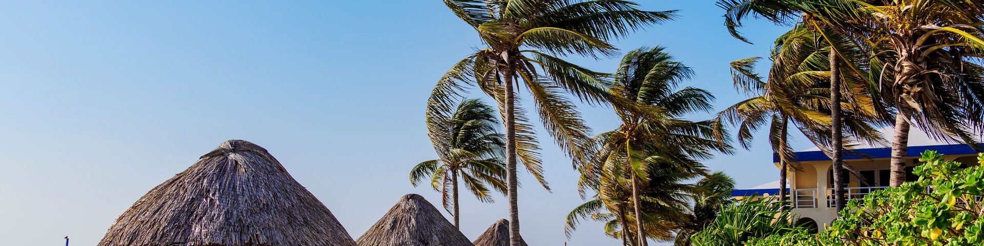 Uma praia com guarda-sóis de palha, palmeiras e um edifício azul.
