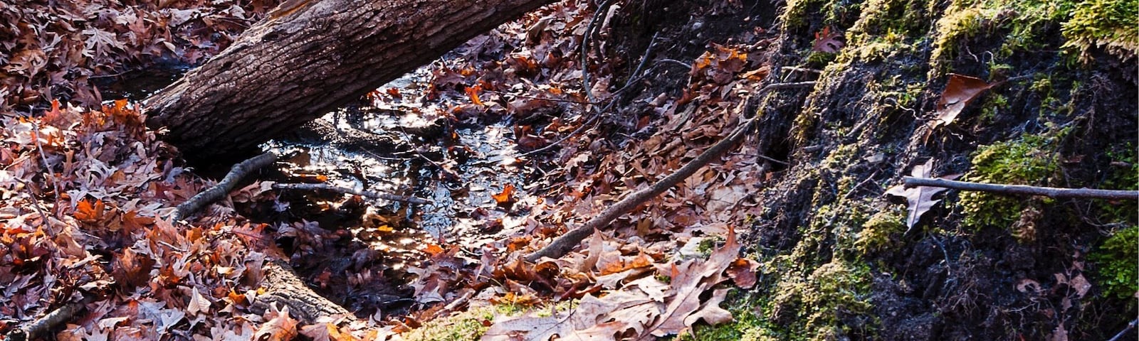 This is a very nice place to hike.