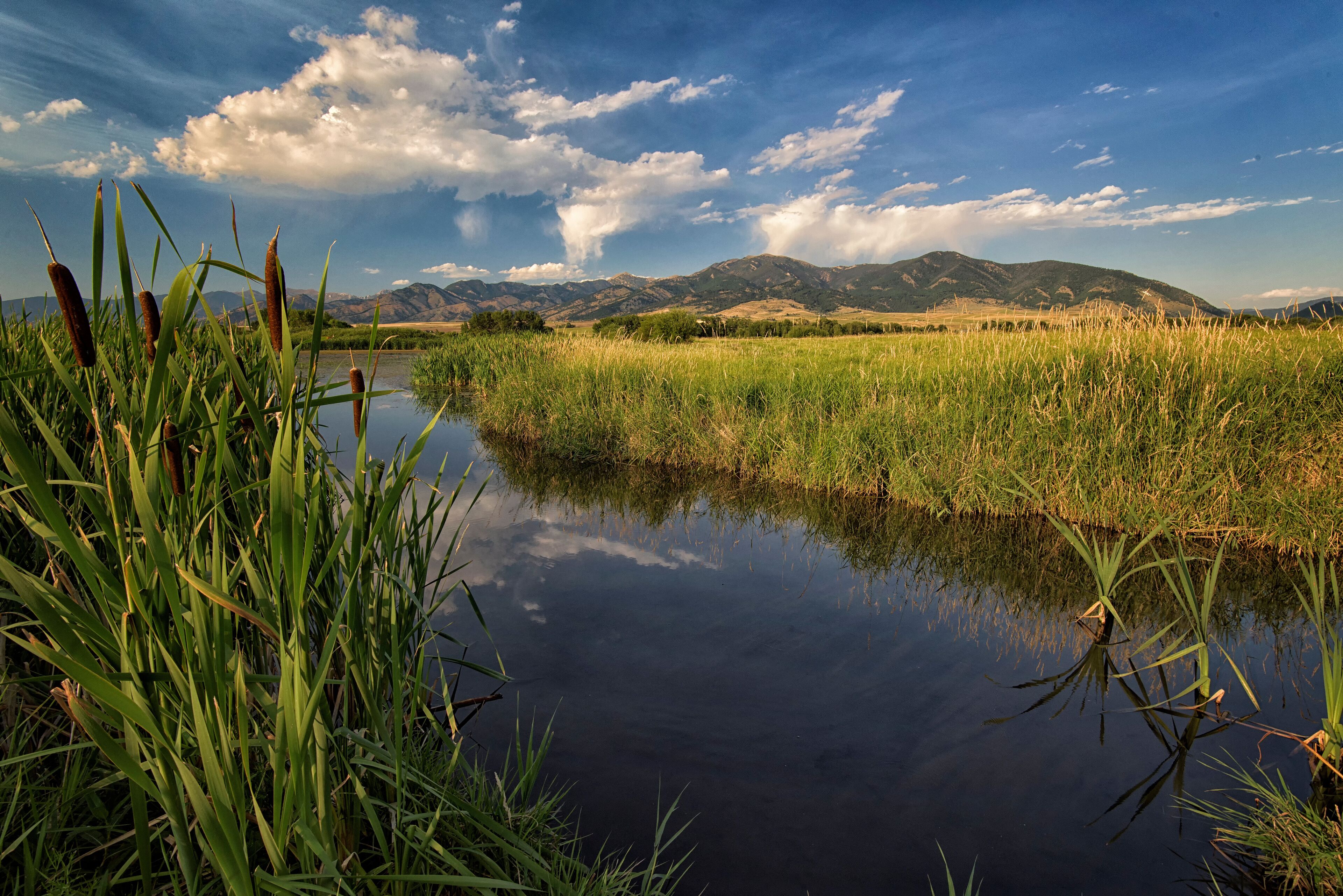 Um rio calmo com juncos e taboas, rodeado por campos gramados e montanhas sob um céu parcialmente nublado.