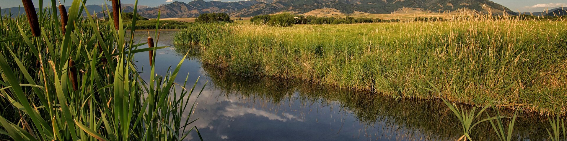 Um rio calmo com juncos e taboas, rodeado por campos gramados e montanhas sob um céu parcialmente nublado.