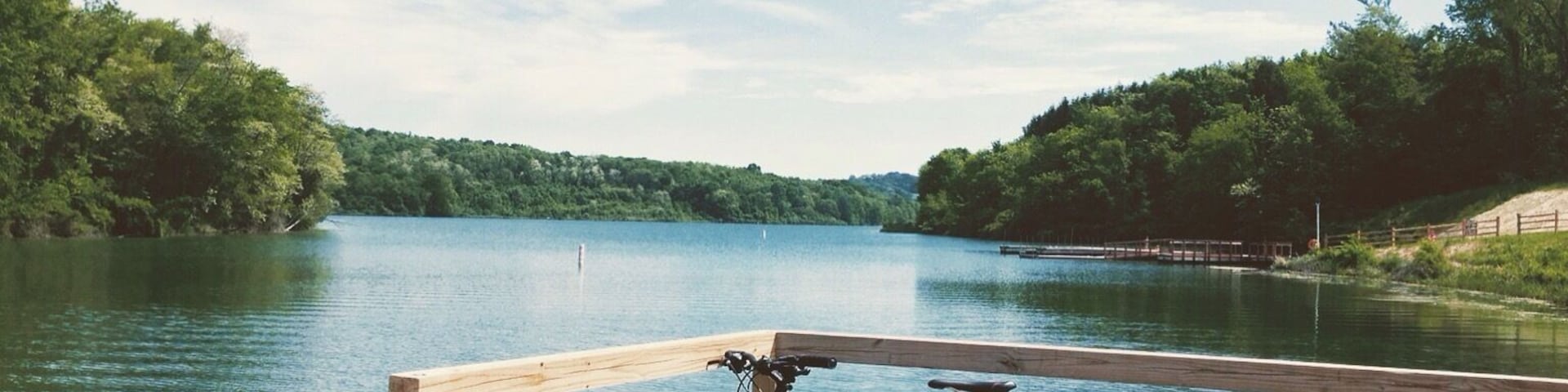 Off the newly built fishing pier at Cross Creek County Park.