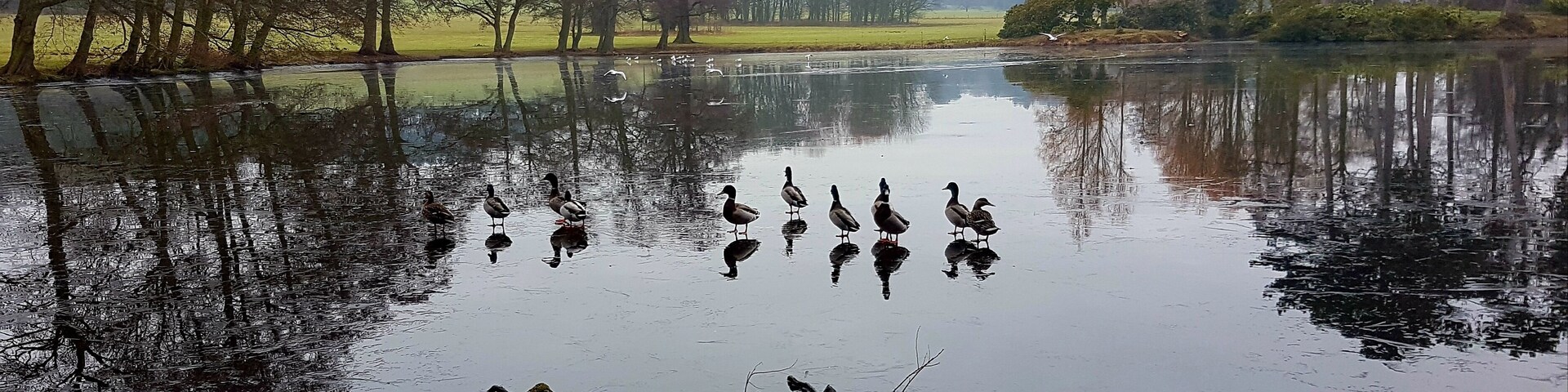 Nice public footpath along the lake. Beautify views.