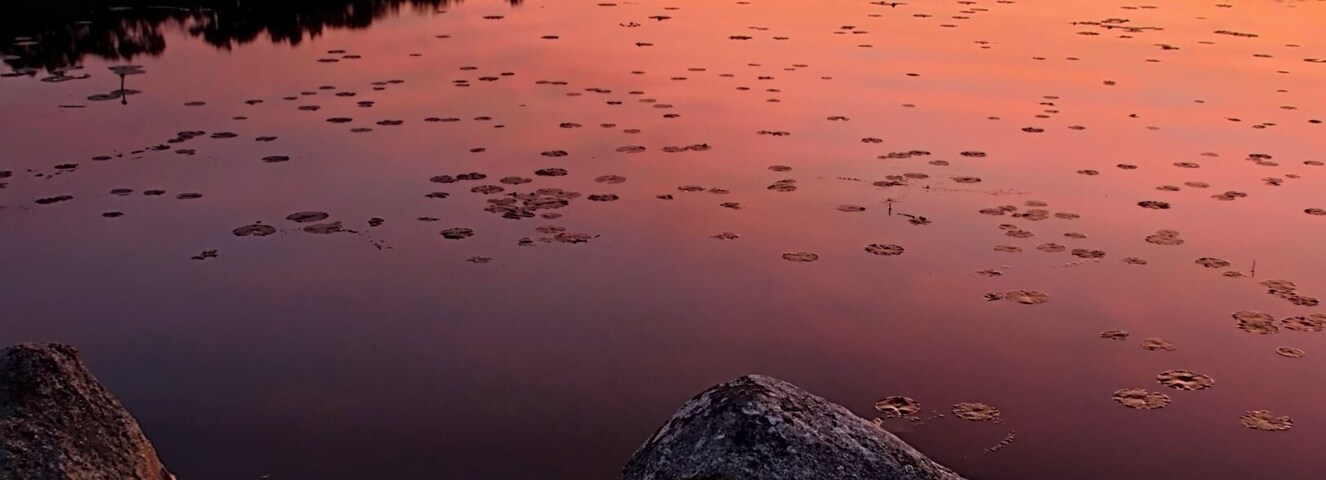 Beautiful park for walking, jogging and biking. Sunsets are often beautiful as well.
