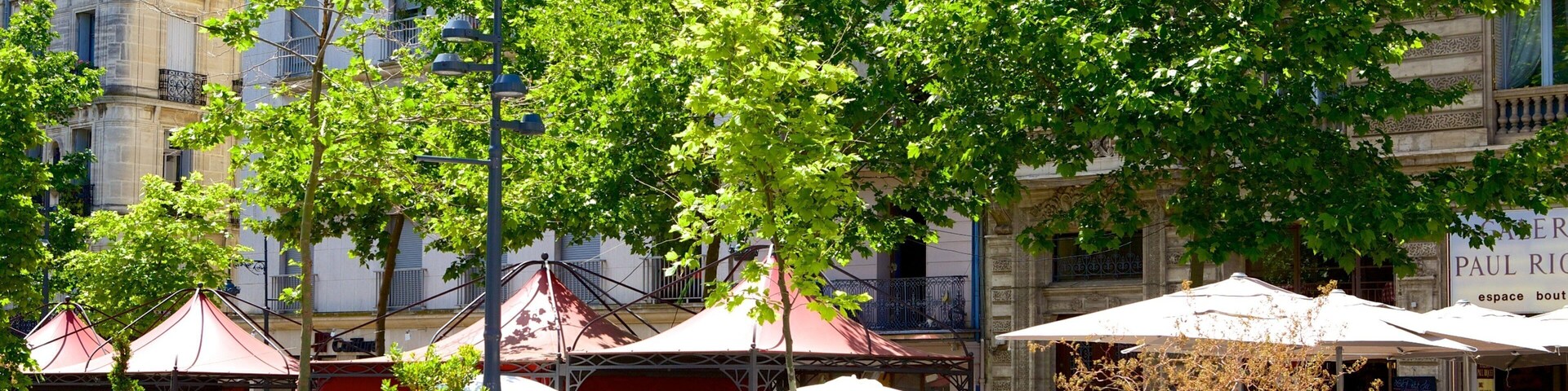Um espaço de café ao ar livre movimentado, com pessoas a jantar sob guarda-sóis, rodeado por edifícios históricos e árvores.