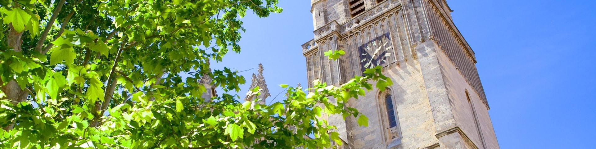 Beziers showing a church or cathedral and heritage architecture