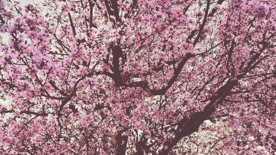 Spring is in full swing!